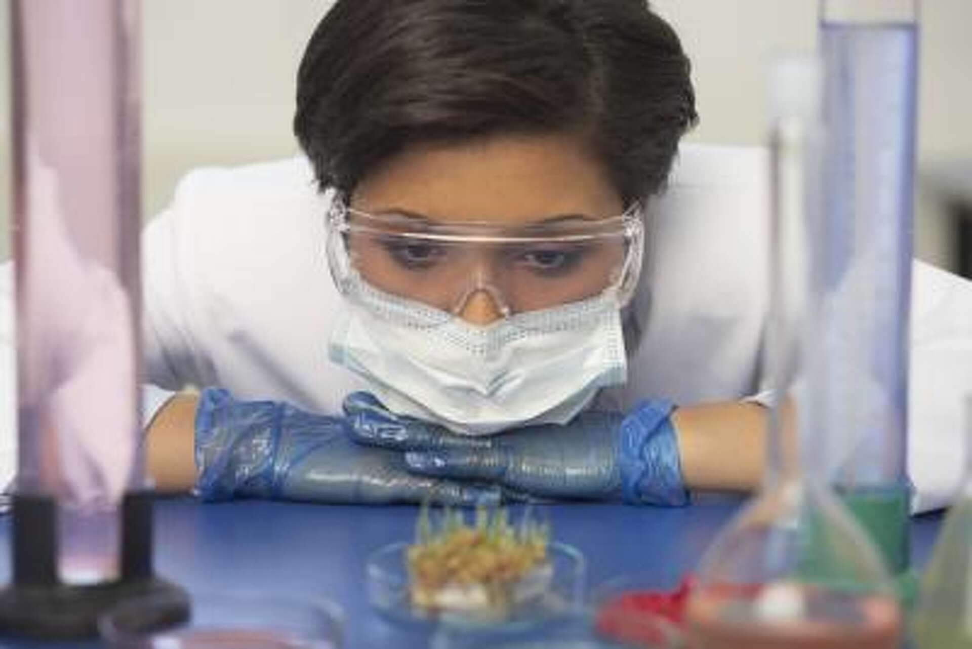 Examples of Mold Growth Experiments