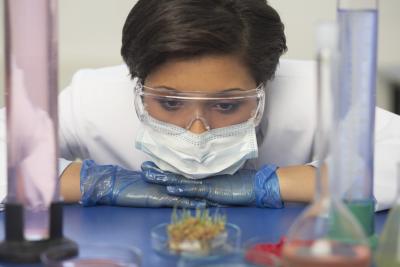 Examples of Mold Growth Experiments