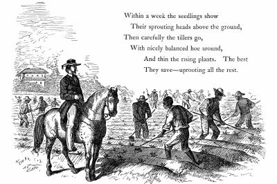 Teaching Elementary Students to Identify the Speaker of a Poem