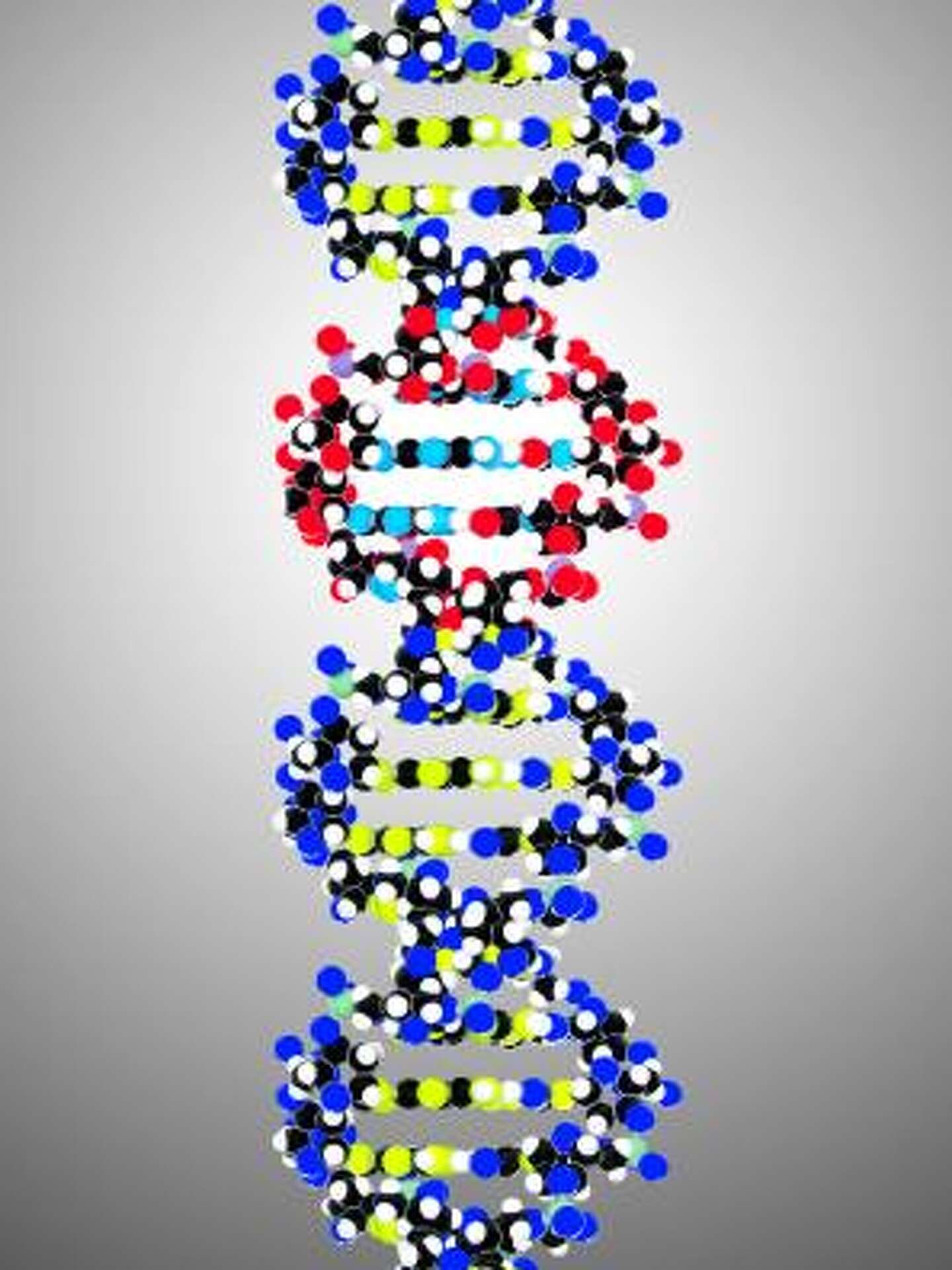 What Are the 4 Types of DNA Monomers?