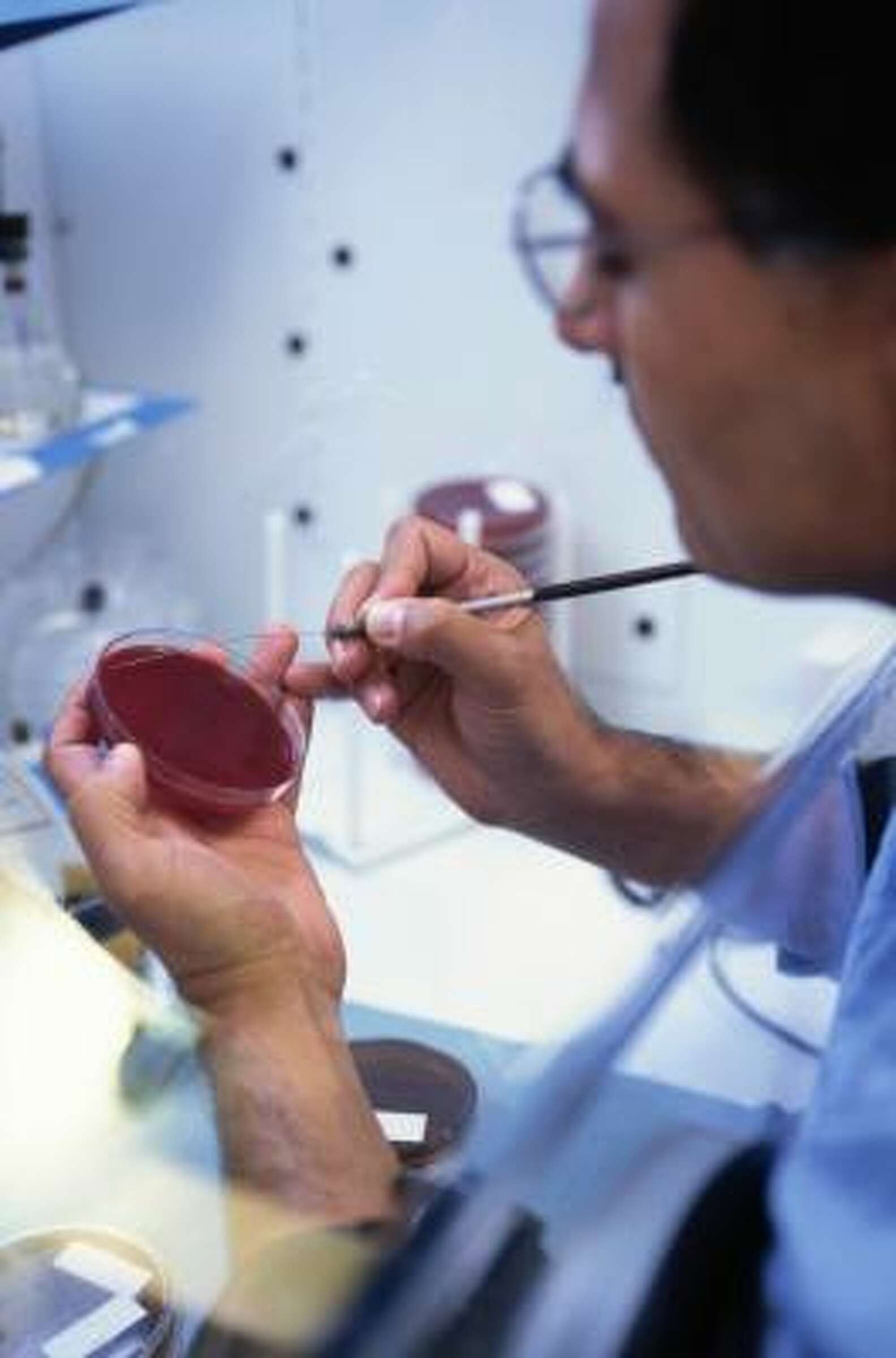 What Is a Mixed Culture in Biology?