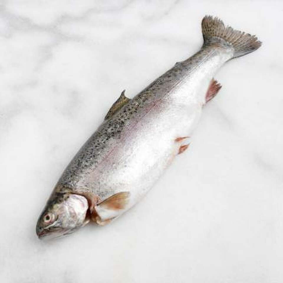 The Influence of the Geography of Ancient Israel on Daily Life