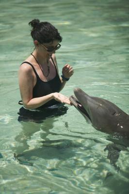 The Importance of Segmentation in Biology