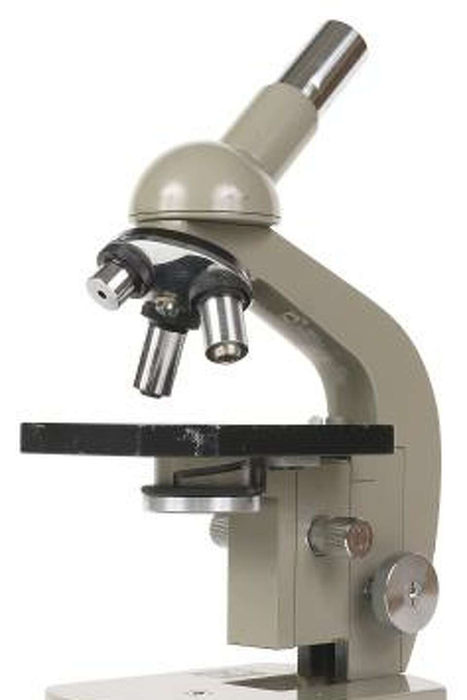 What Does an Iodine Stain Do in Biology?