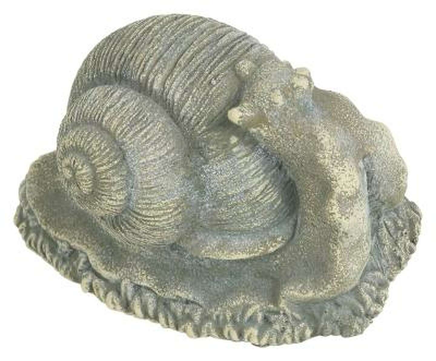 What Does a High Concentration of Salt Do to a Cell Membrane?