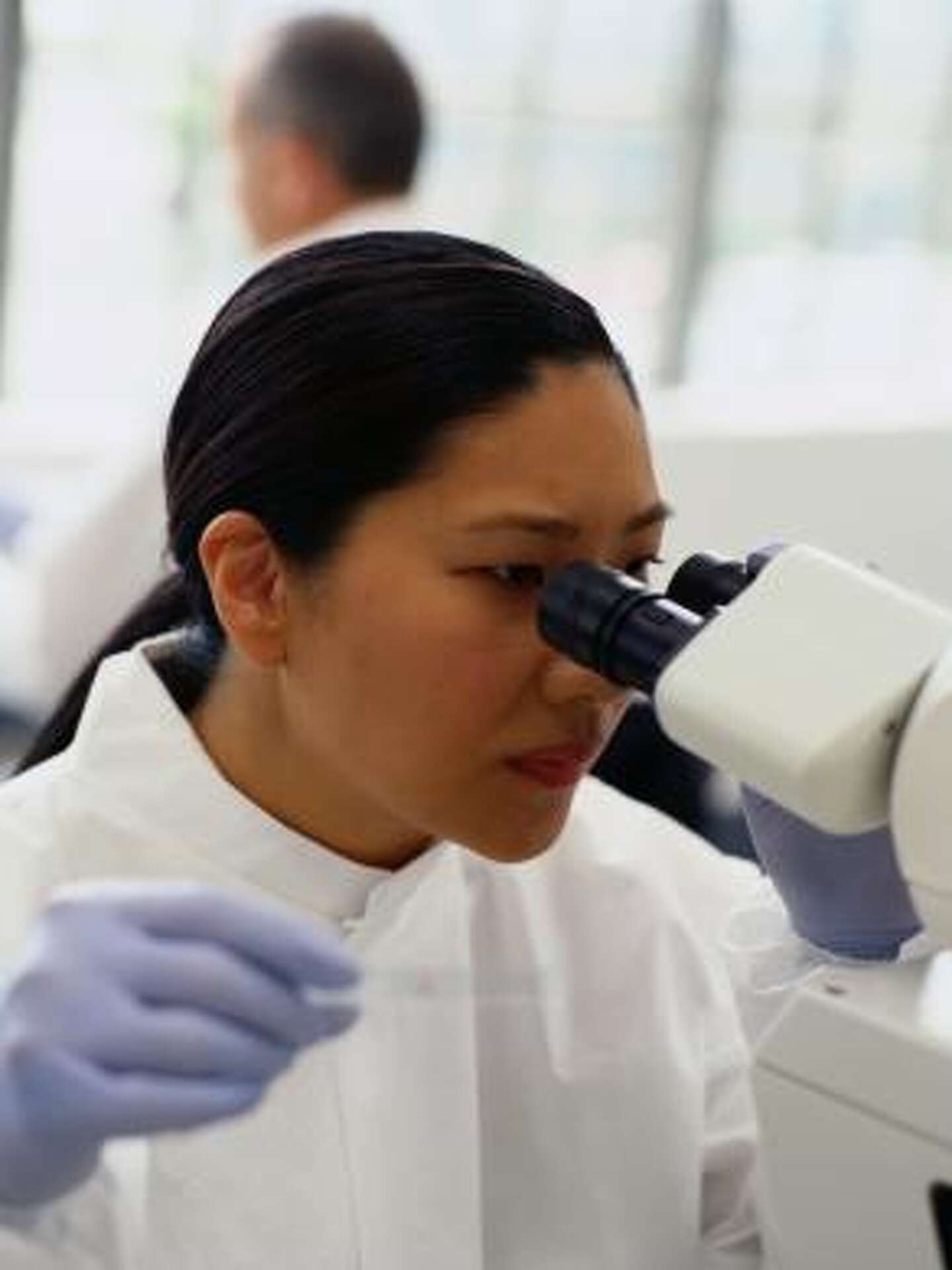 What Are the Three Main Types of Microscopes?
