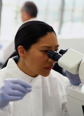 What Are the Three Main Types of Microscopes?