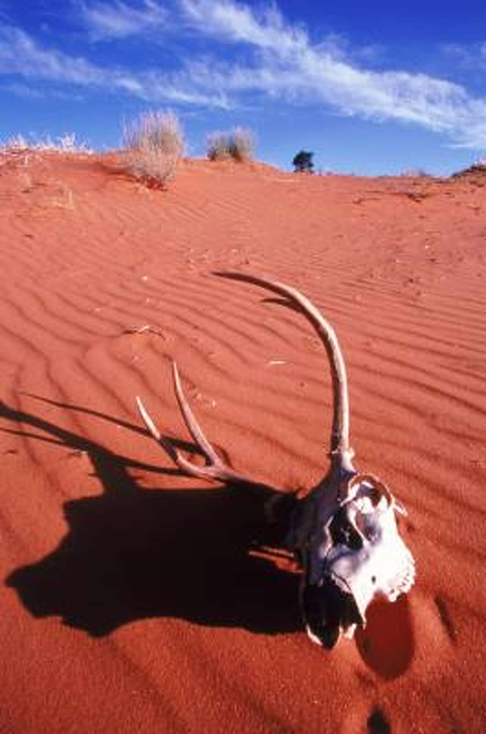 The Driest Places on Earth With the Least Rain