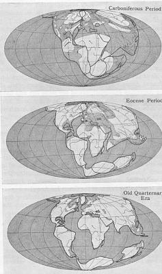 The Distribution of Fossils and Plate Tectonics Theory