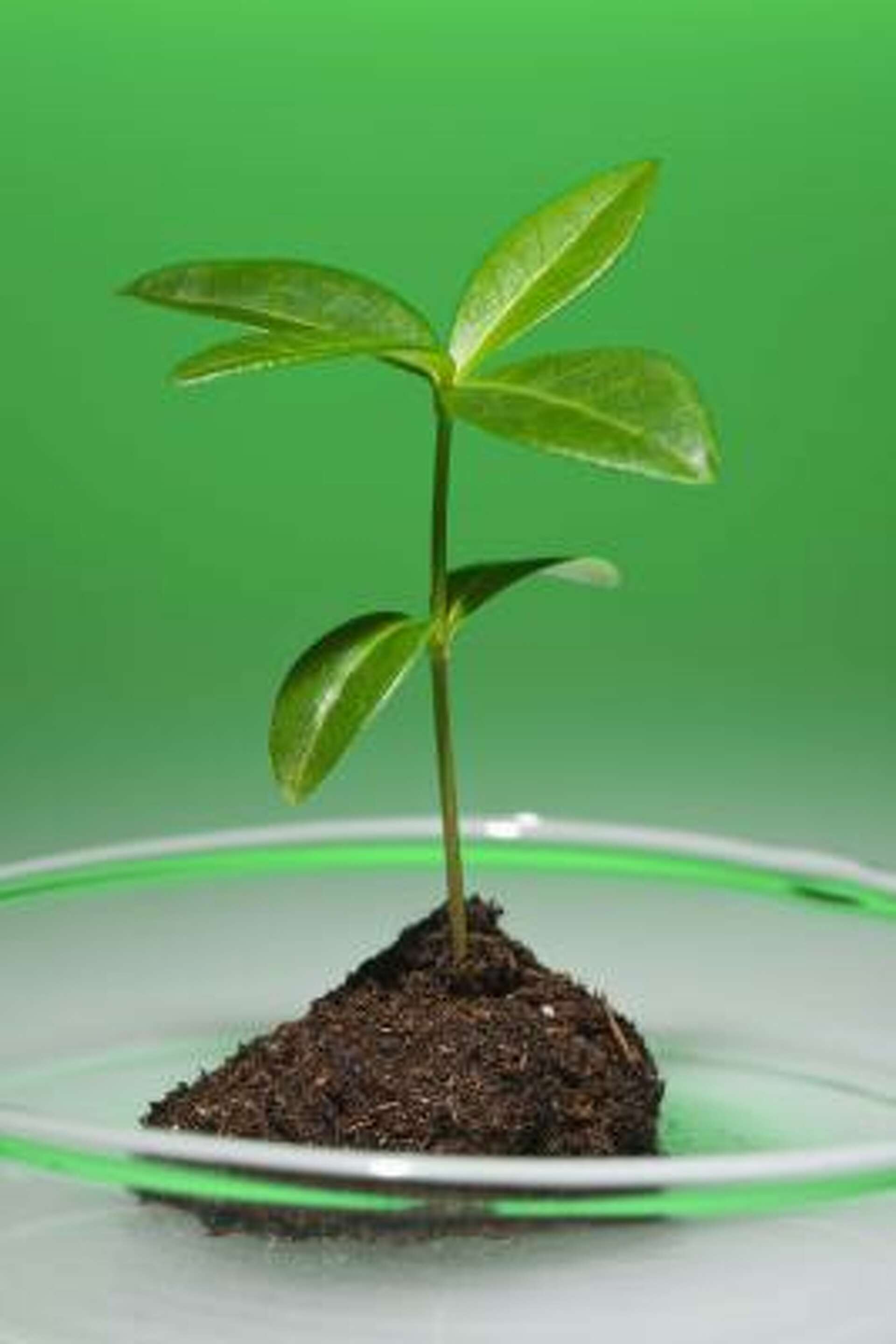 Science Experiments on pH Levels