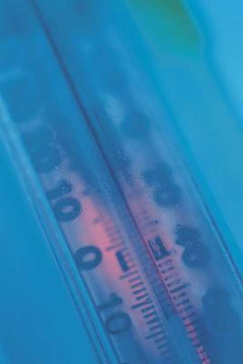 Science Experiments Demonstrating How Temperature Affects Enzyme Activity