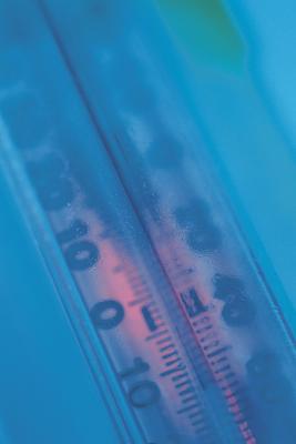 Science Experiments Demonstrating How Temperature Affects Enzyme Activity