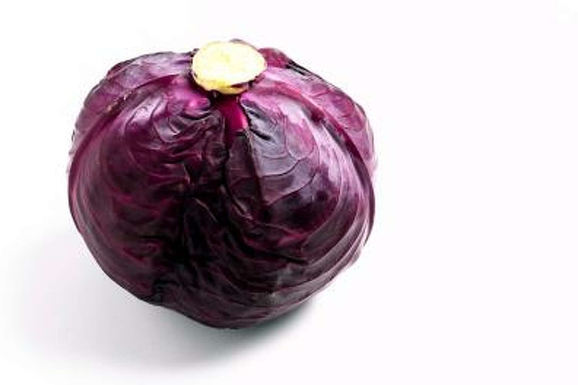 Science Experiments With Purple Cabbage