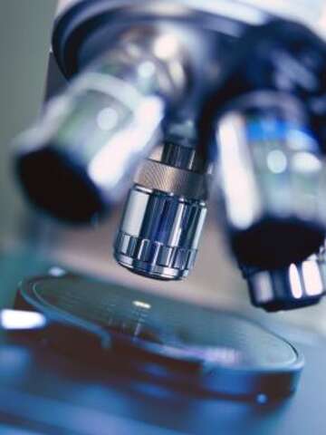 What are the Different Types of Microscopy Used in a Microbiology ...