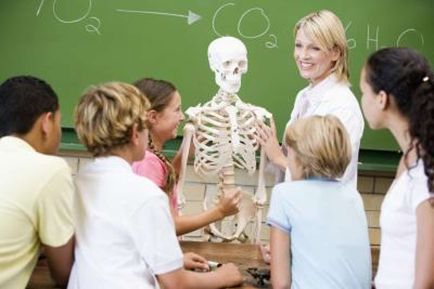 Science Projects on Bone Decay