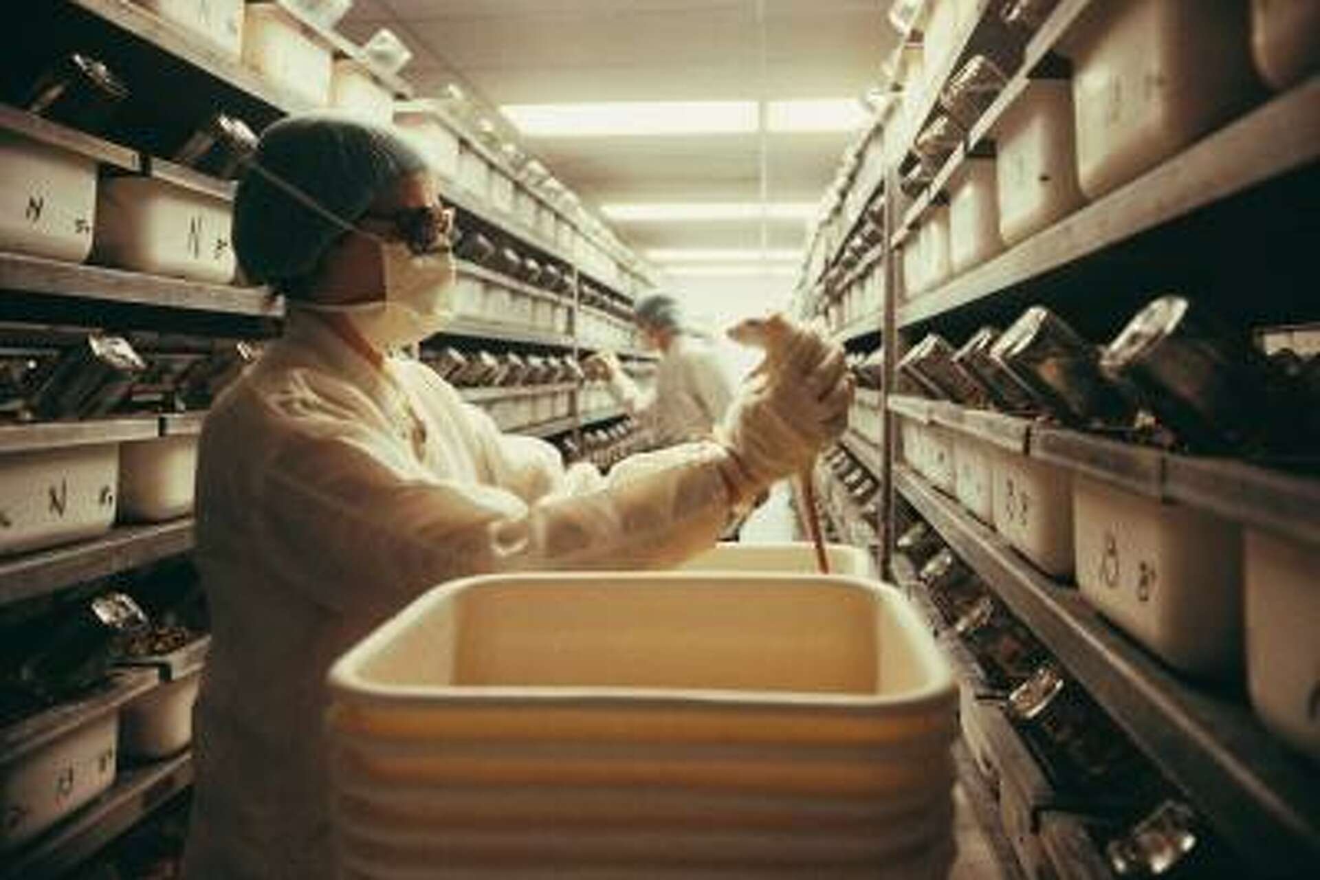 What Components Are Necessary for an Experiment to Be Valid?