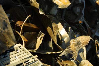 Differences Between Biodegradable and Non-Biodegradable