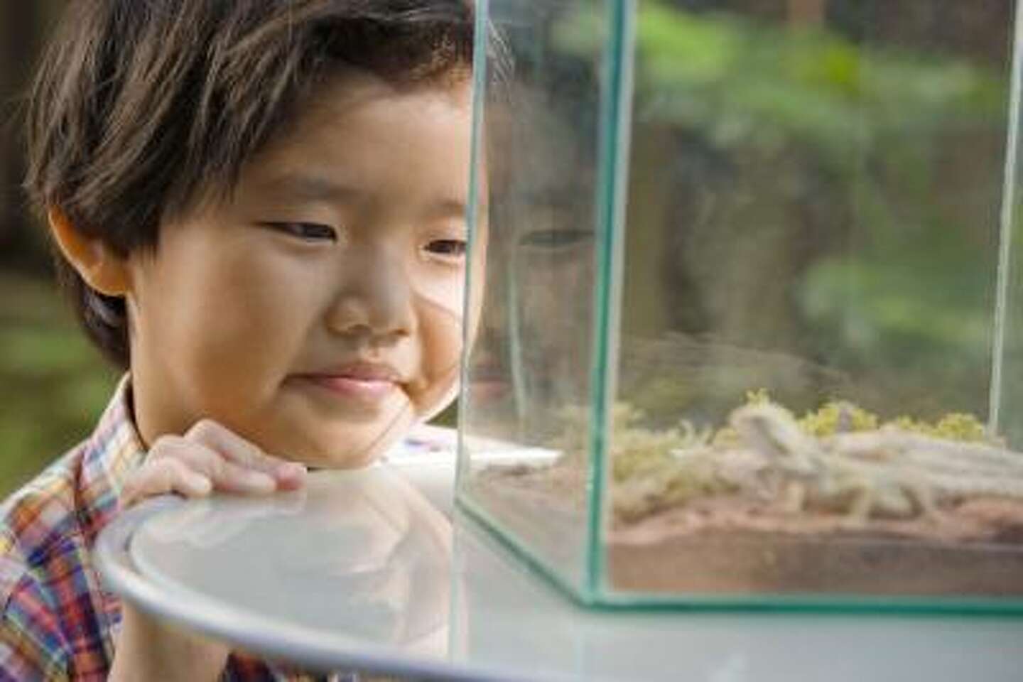 Easy Ecology Experiments for Kids