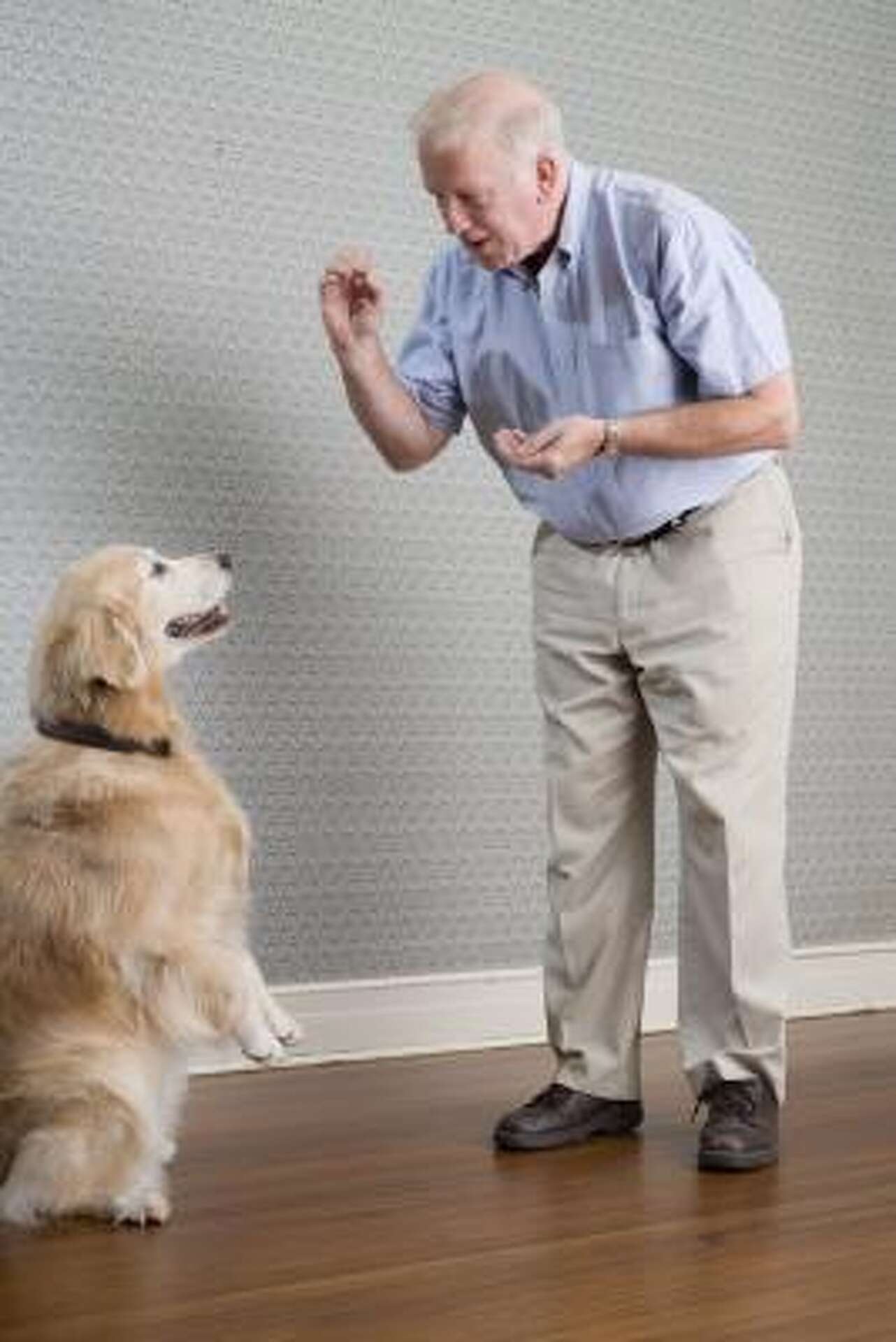 What Is Associative Learning in Psychology?