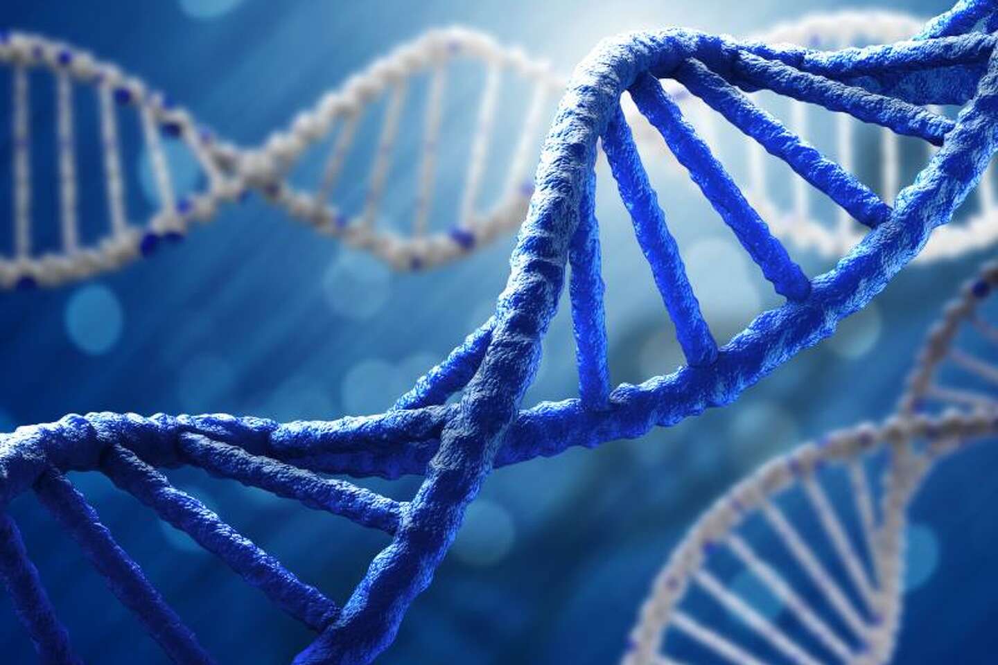 Animals That Share Human DNA Sequences
