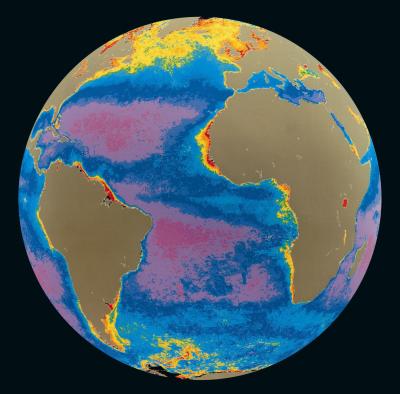 List and Describe the Evidence for the Plate Tectonics Theory
