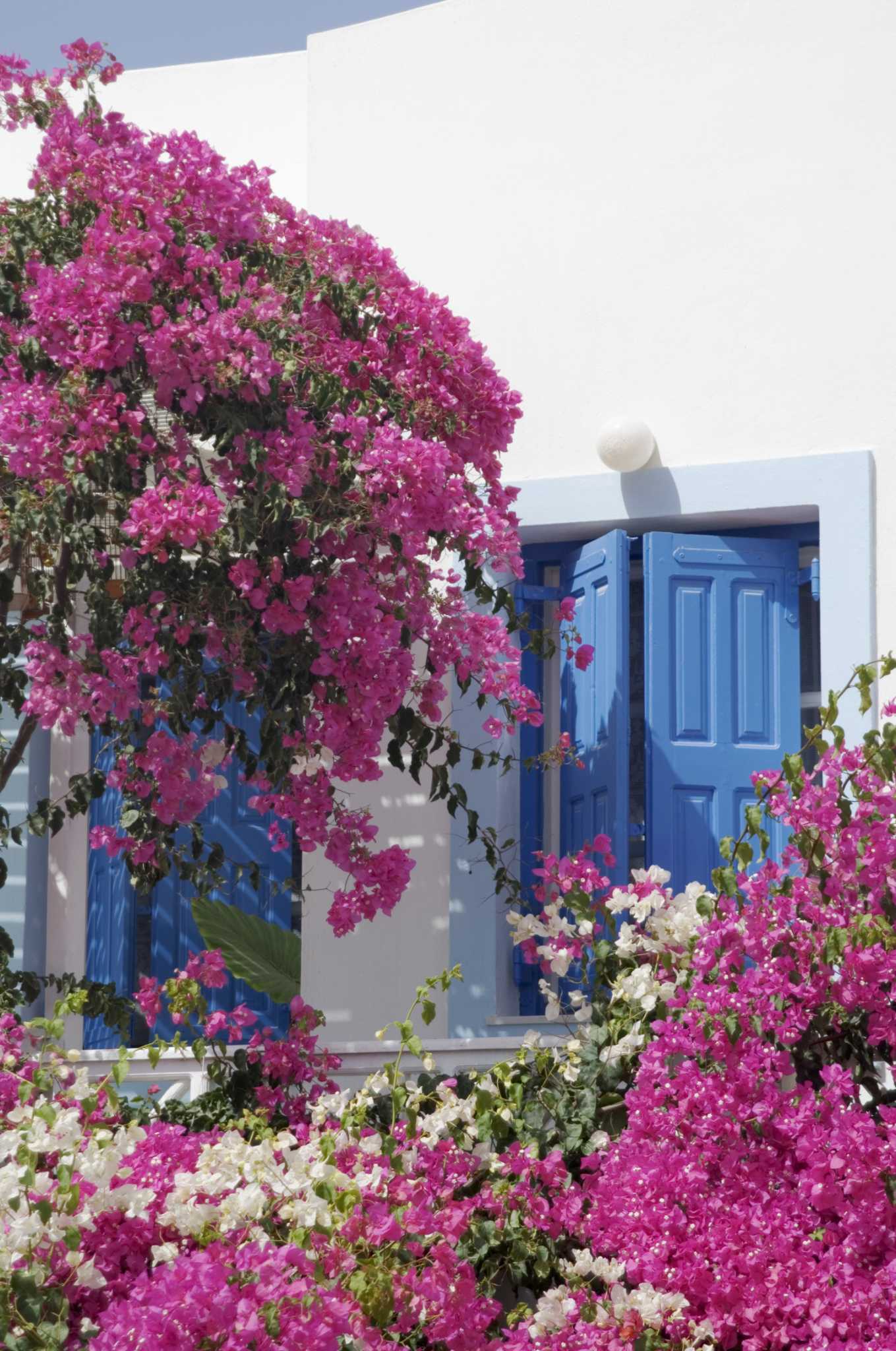 Weaving a Theme Through a Reflective Essay