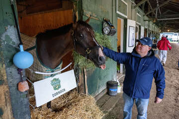Danny Gargan-trained Dornoch is the morning-line pick for the Travers