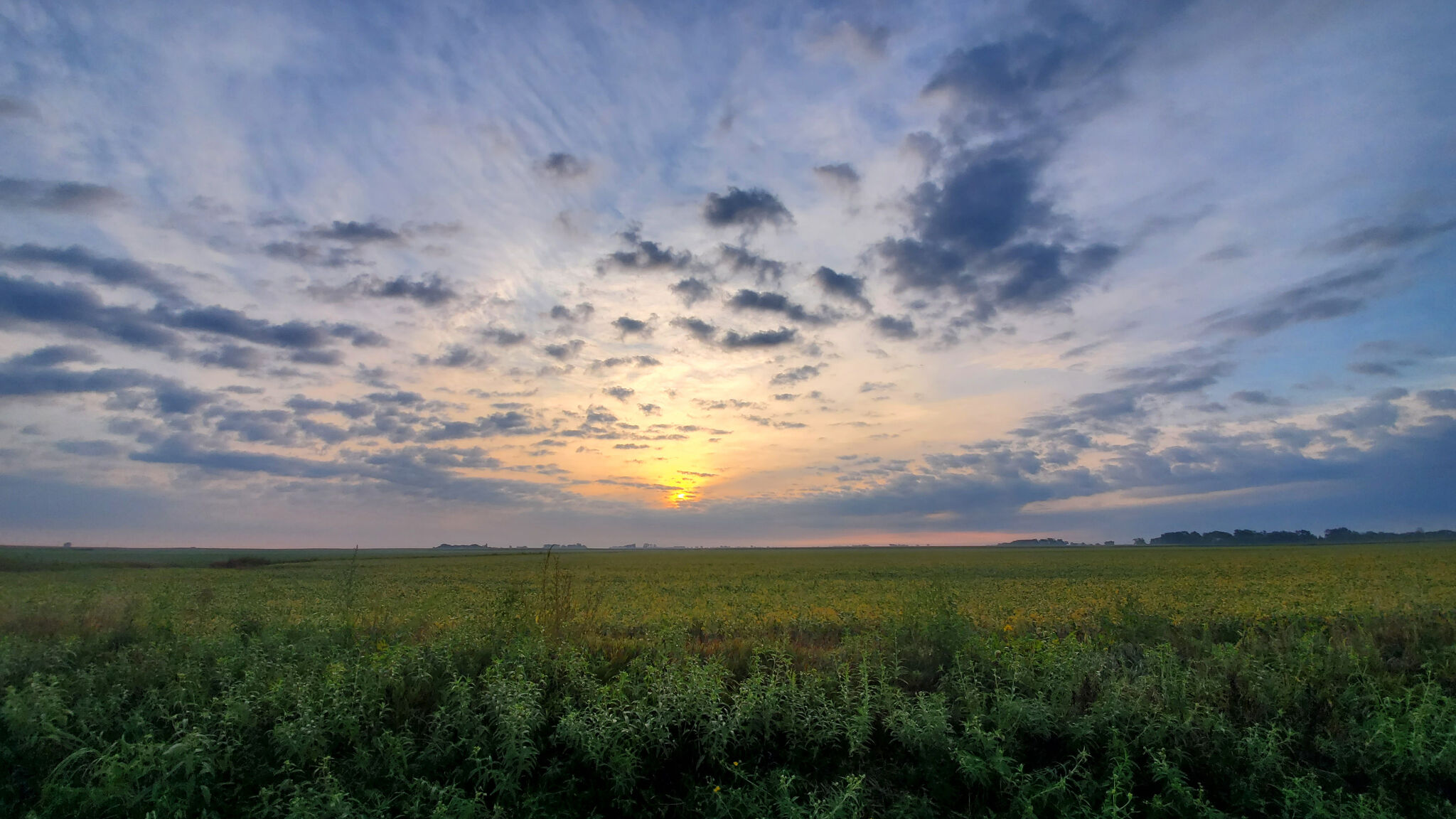 Warm summer weather returning to Thumb region this week