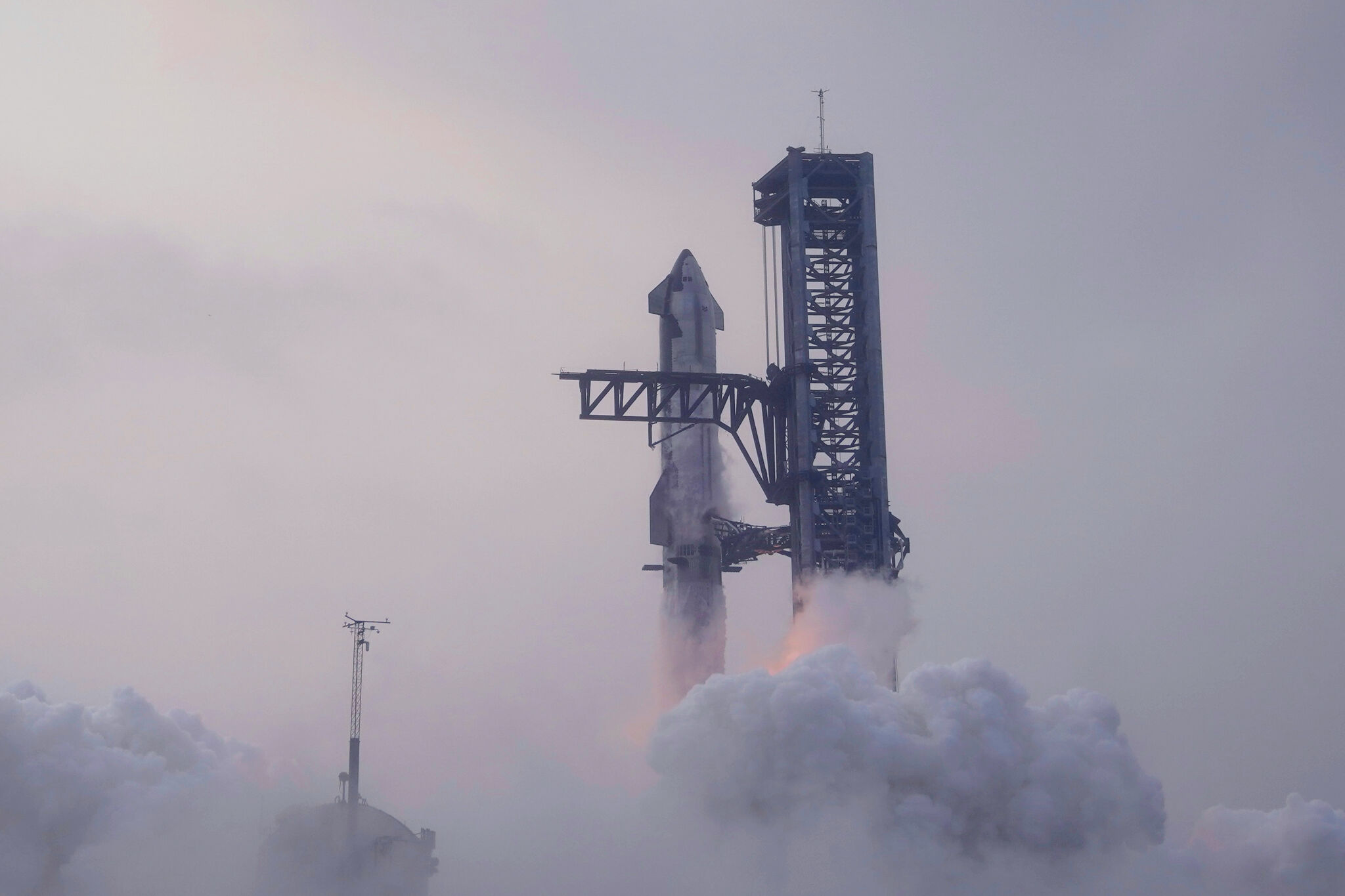 SpaceX Starship launch damaged shorebird nests