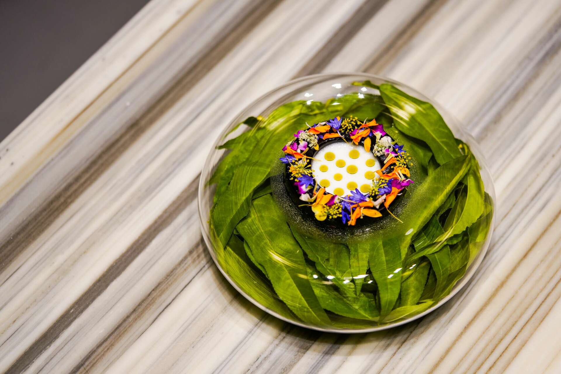 Nicosi, a dessert bar, opens this June with no-phone policy