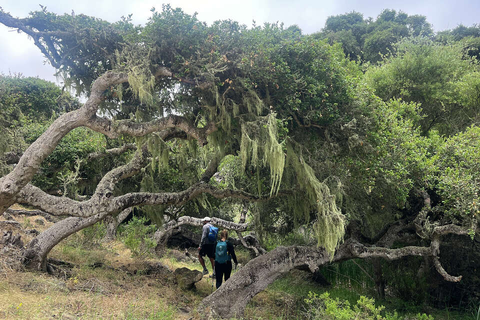 Calif.'s least-visited national park has its most otherworldly hike