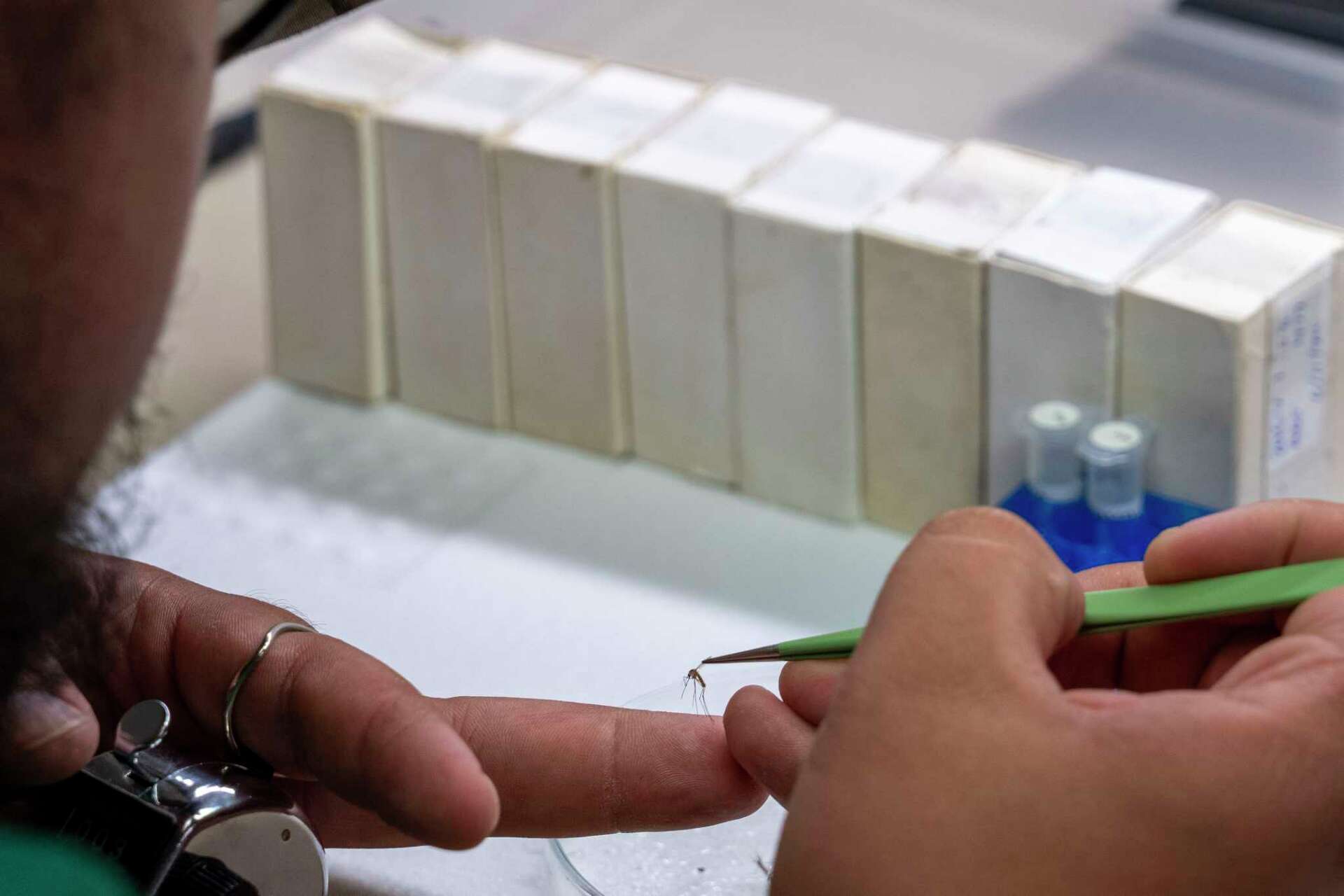 Harris County: 23 cases of West Nile Virus confirmed