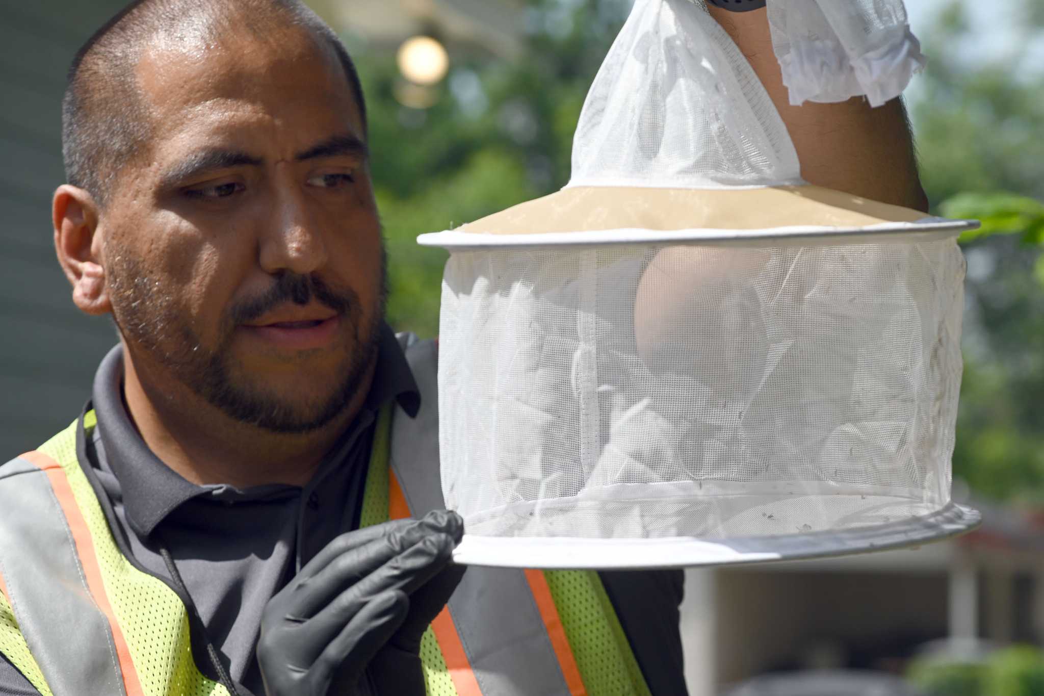 How Harris County controls the spread of mosquito-borne disease