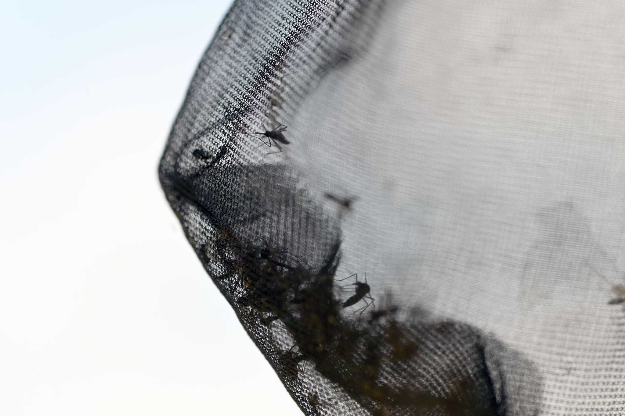 Octavia Johnson - Journalist Profile - Intelligent Relations