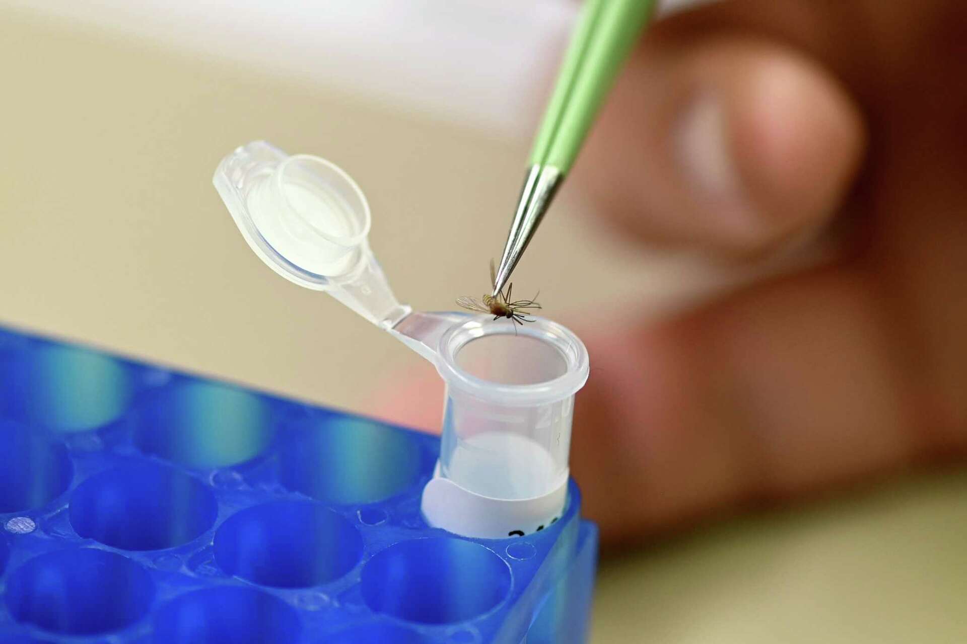 How Harris County controls the spread of mosquito-borne disease