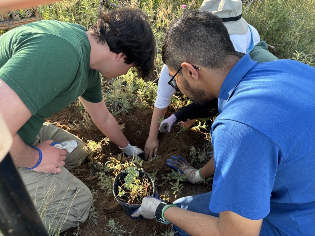 Conservation Job Corps plant trees at I-20 Wildlife Preserve