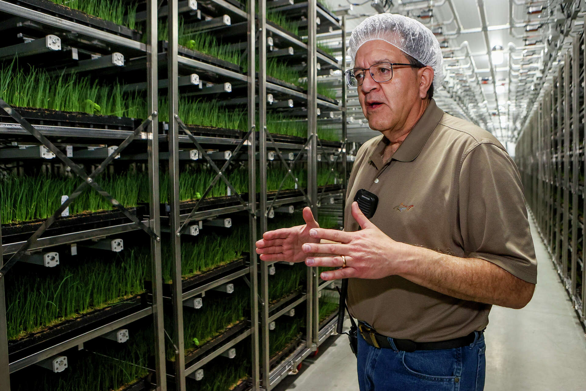 See inside an indoor vertical farm on San Antonio’s South Side