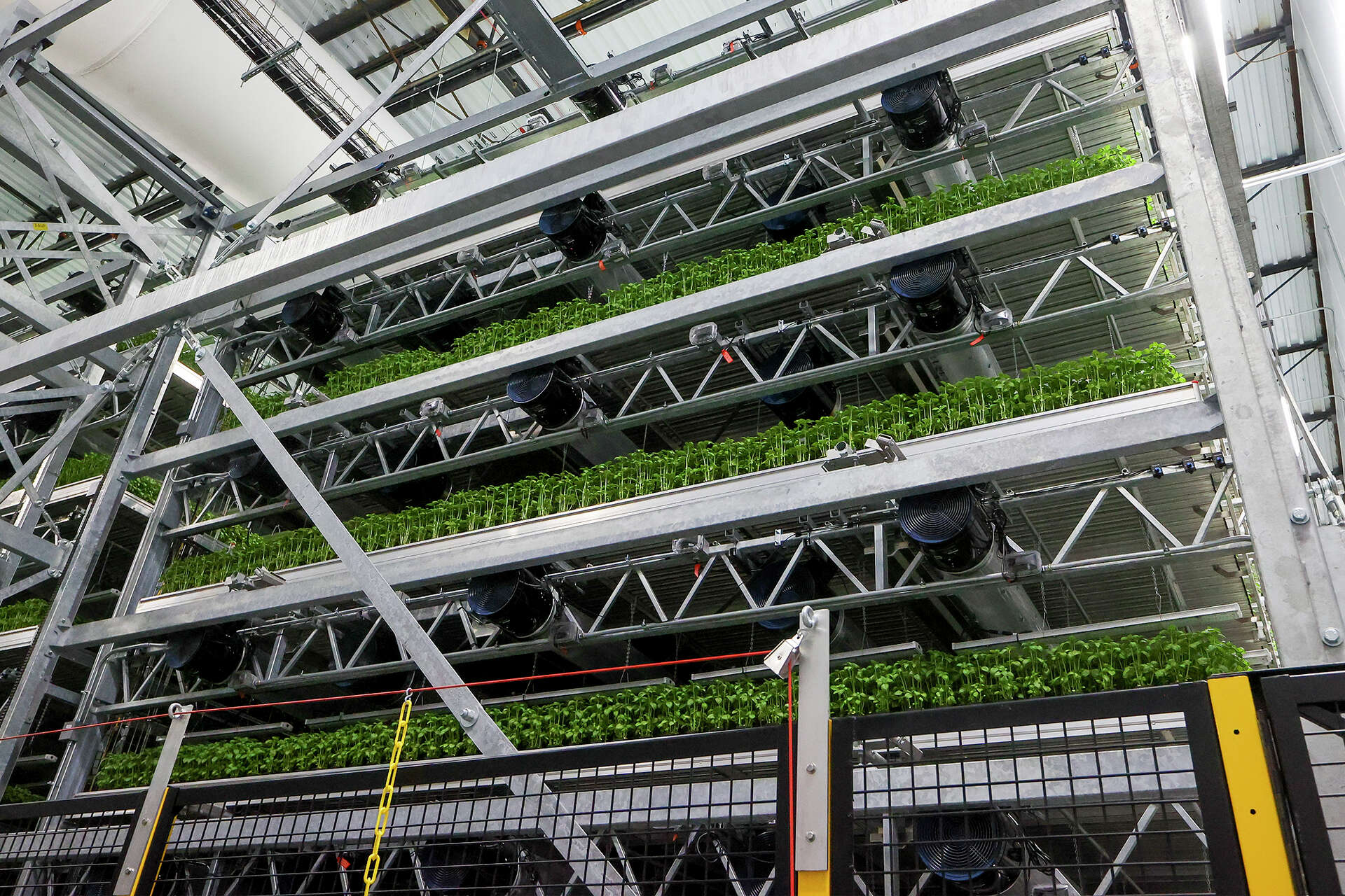 See inside an indoor vertical farm on San Antonio’s South Side