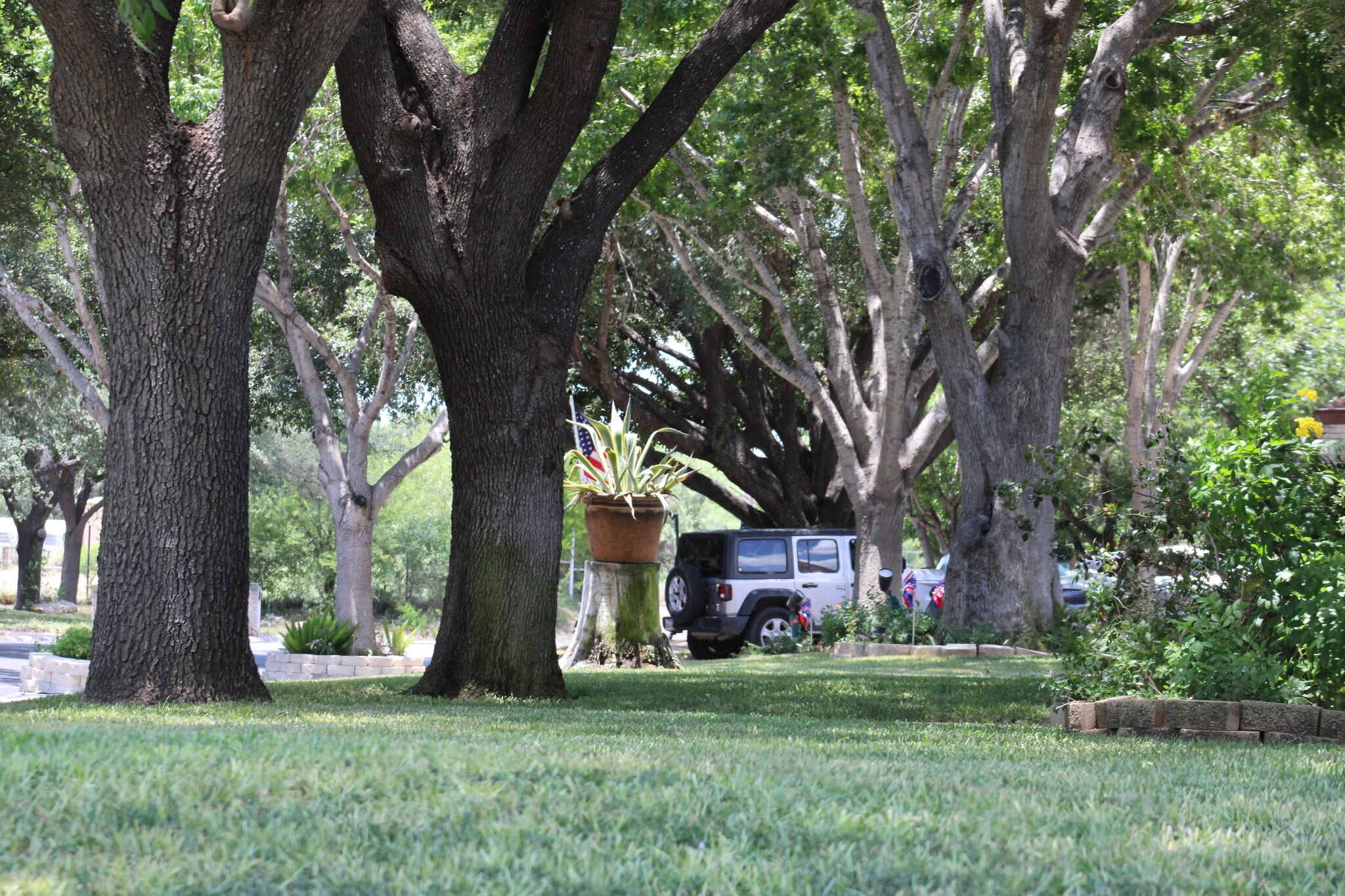 Keep Laredo Beautiful on green lawns importance for best yard contest