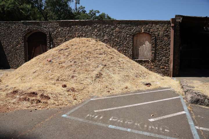 How Ken Mattson’s Sonoma Wine Country empire crumbled
