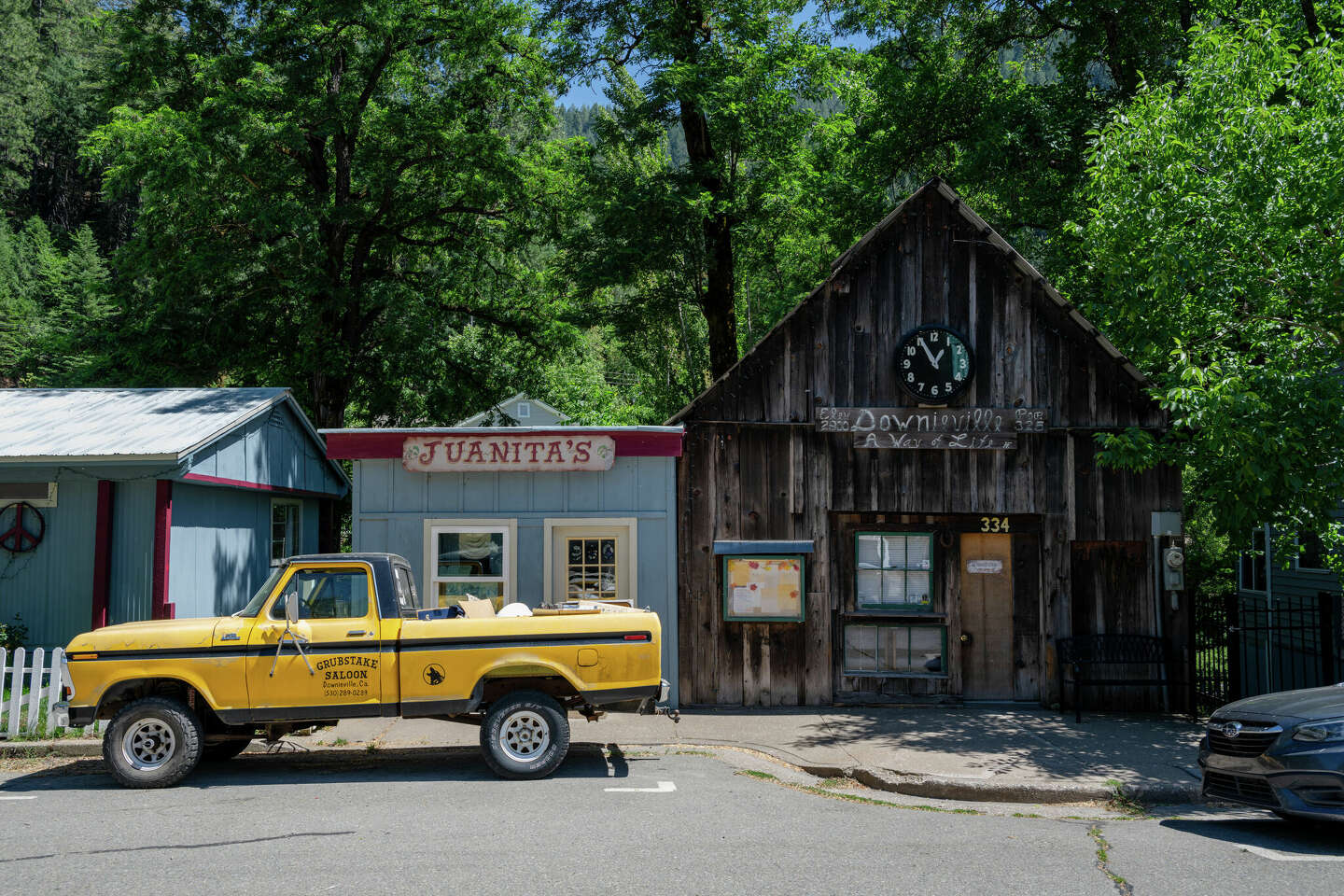 Bizarre, horrific story of California’s first fatal black bear attack