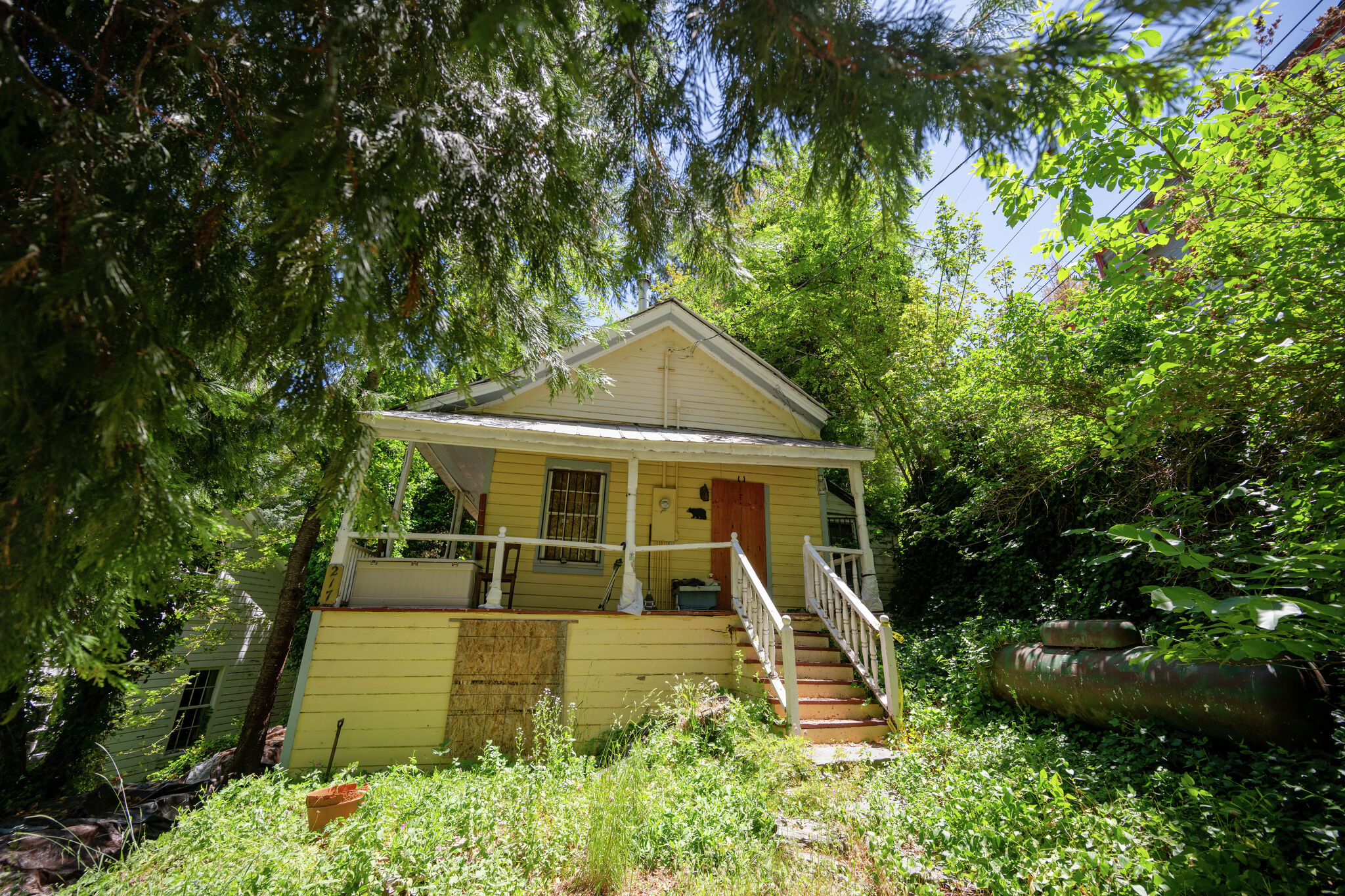 Bizarre, horrific story of California’s first fatal black bear attack