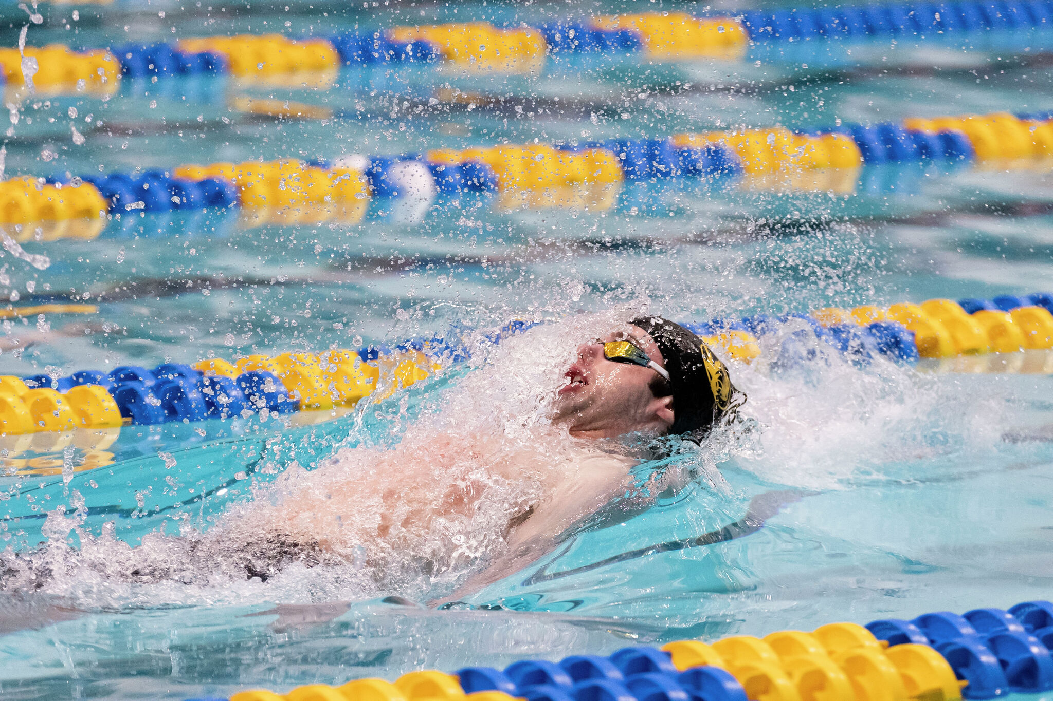 Scotia's Sam Brown taking biggest stage for Olympic swim trials