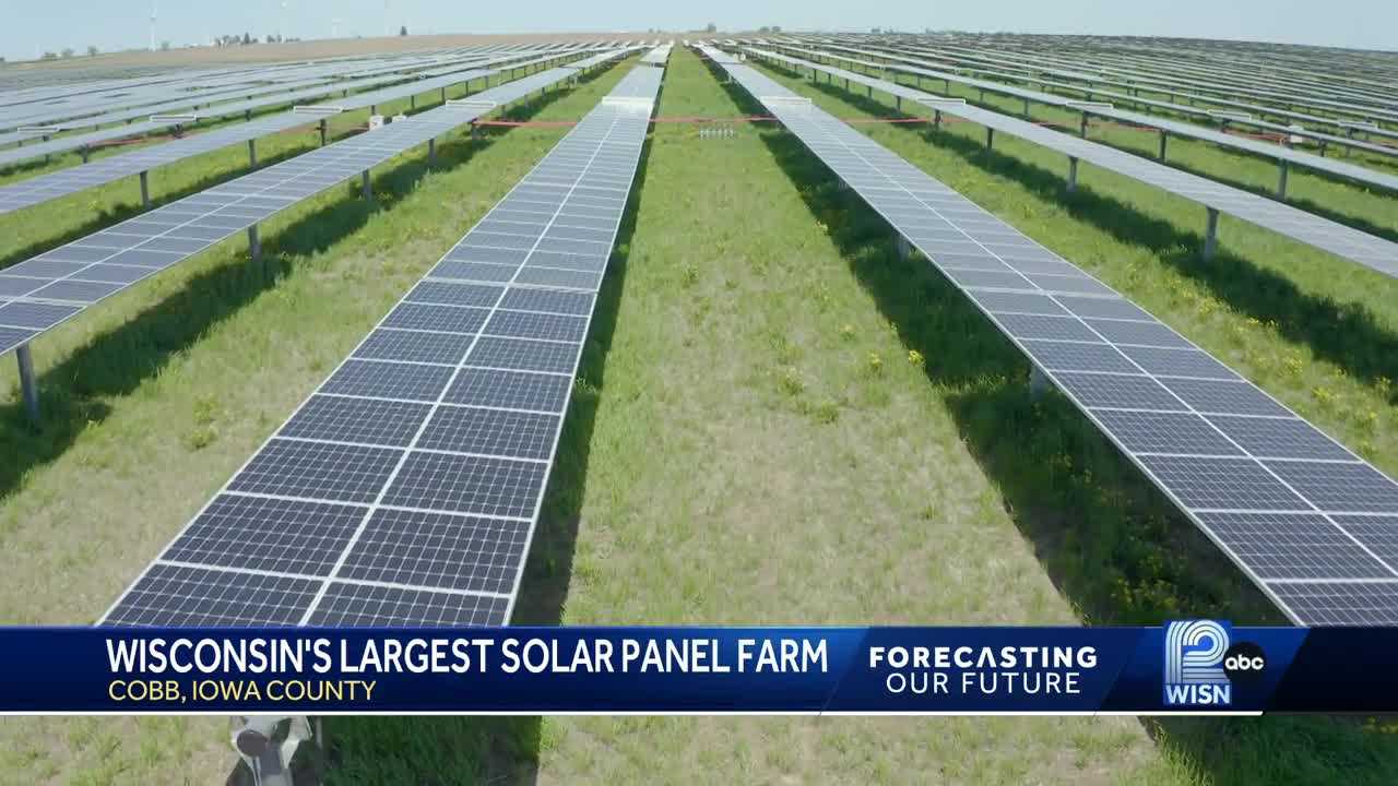 Check out this solar farm: It produces enough energy to power 90,000 homes