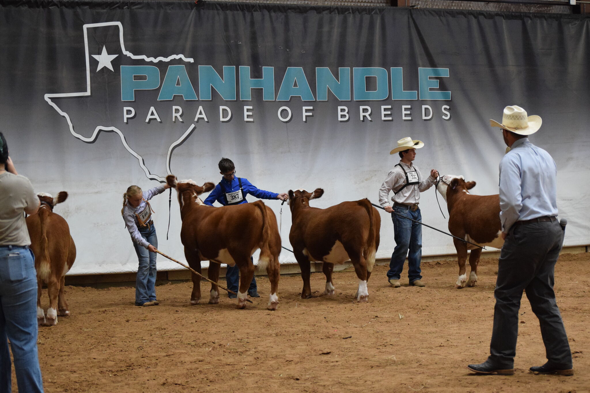 Here are the PPOB results for Prospect Steer Show