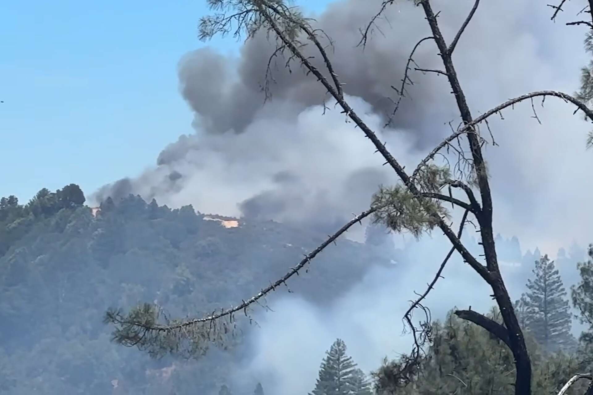 Sonoma's Point Fire prompts evacuations, blazes sweep north state