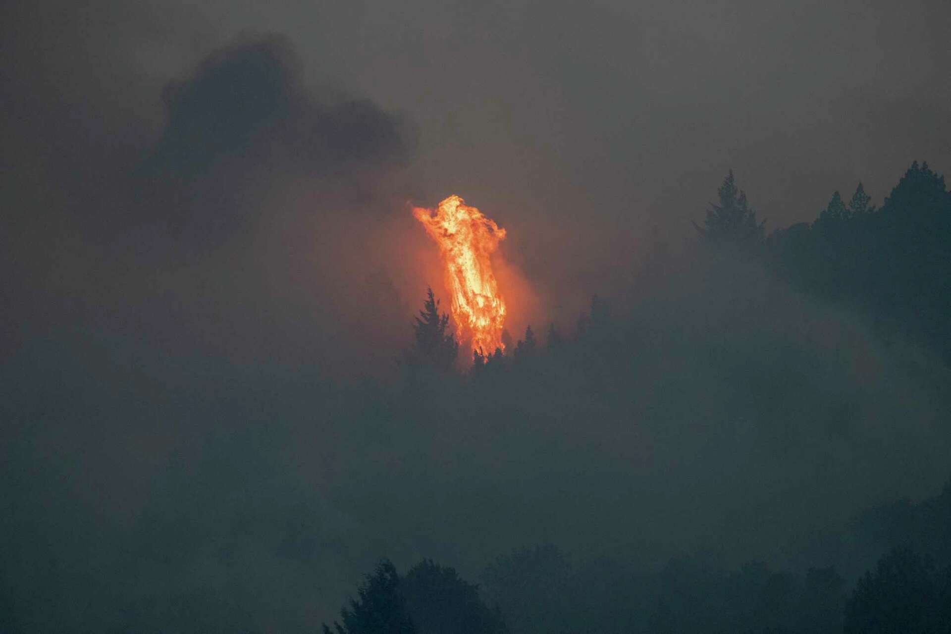Sonoma's Point Fire prompts evacuations, blazes sweep north state