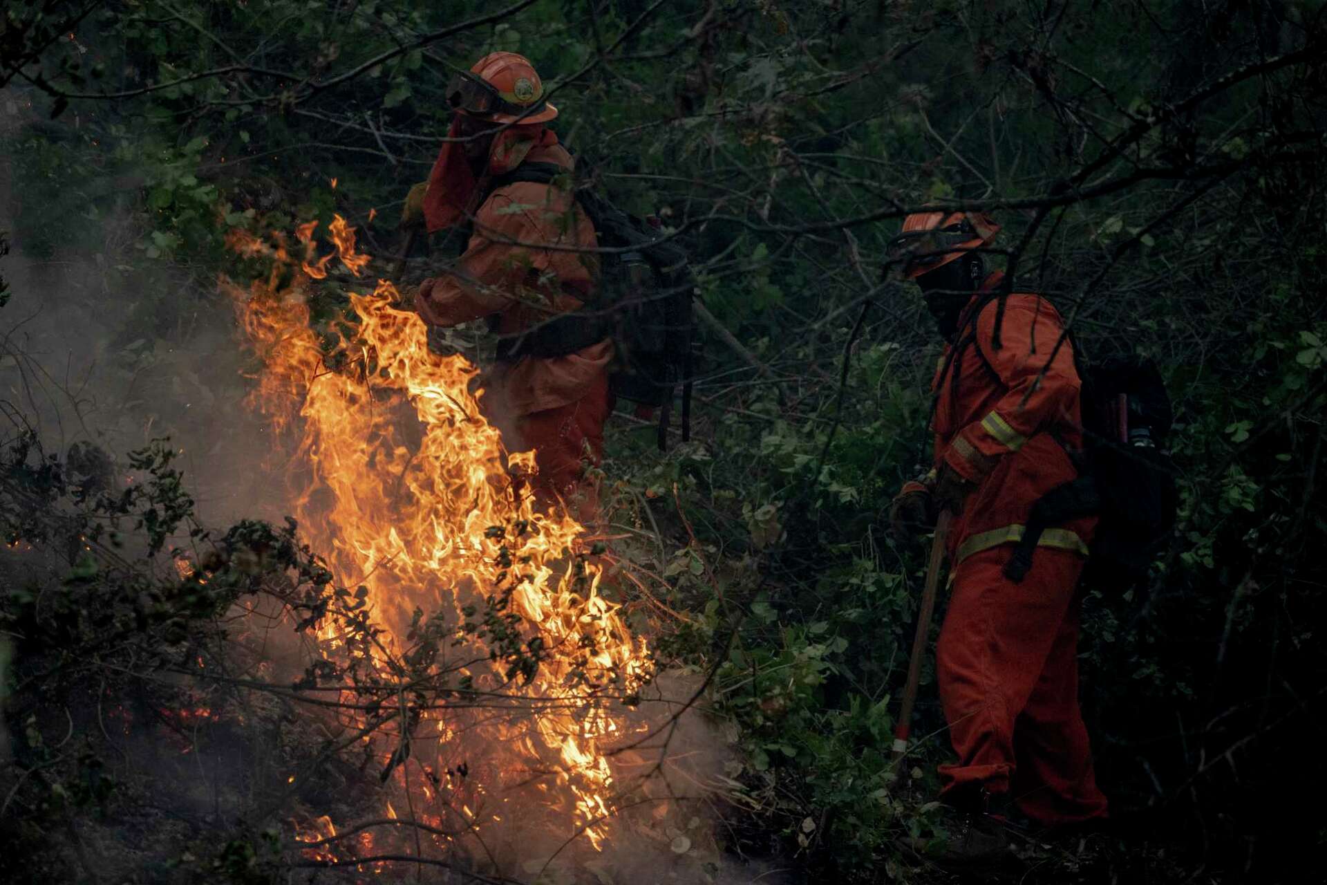 Sonoma County’s Point Fire burns homes amid evacuations