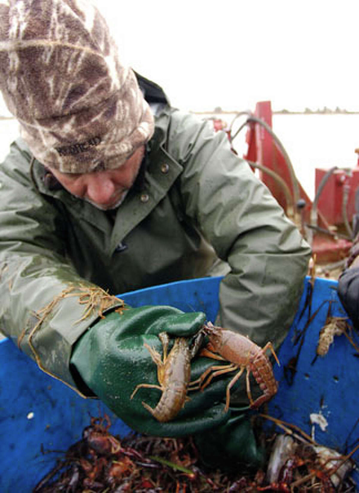 The worst year for crawfish