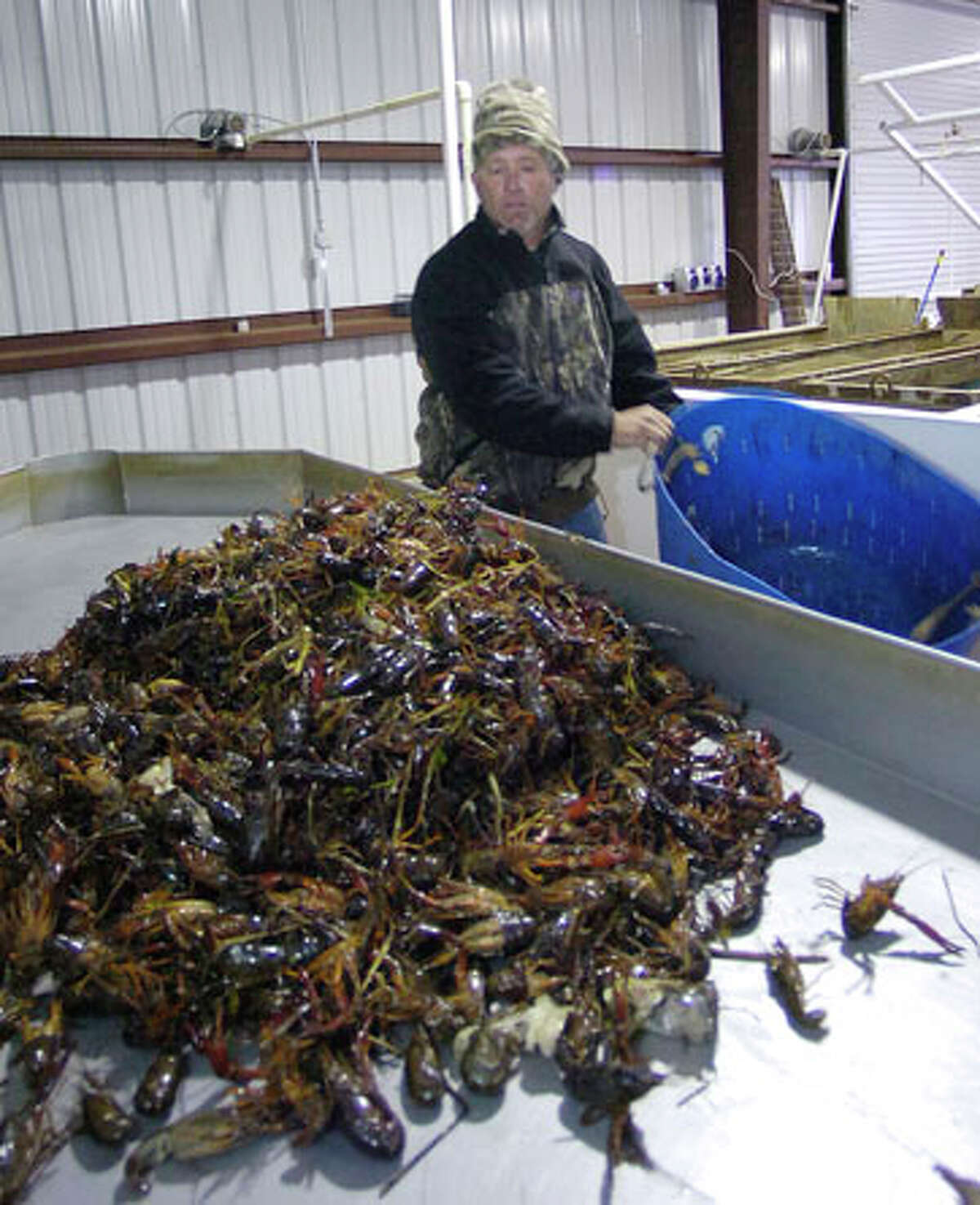 The worst year for crawfish